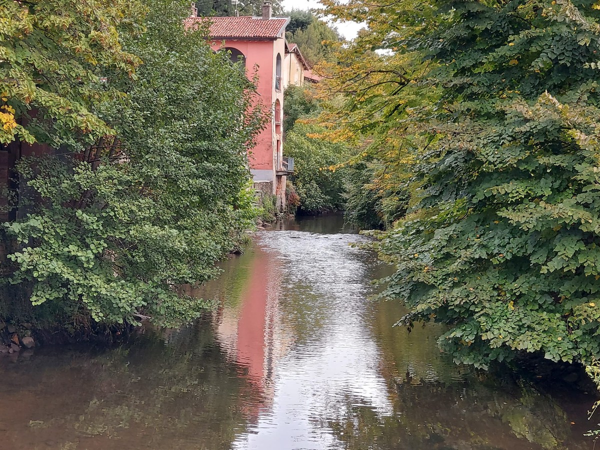 FOTO. Resta stabile la qualità delle acque del fiume Bardello ma ...