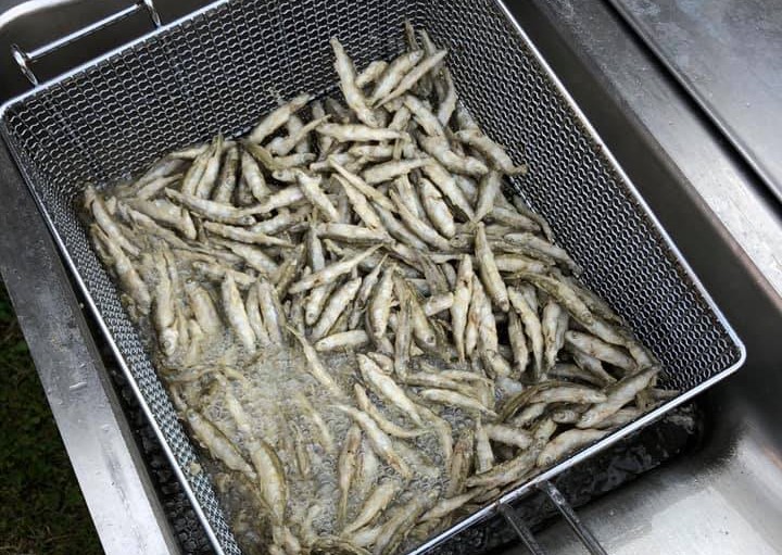 Germignaga capitale dei sapori e del pesce di lago: alla Festa dell ...