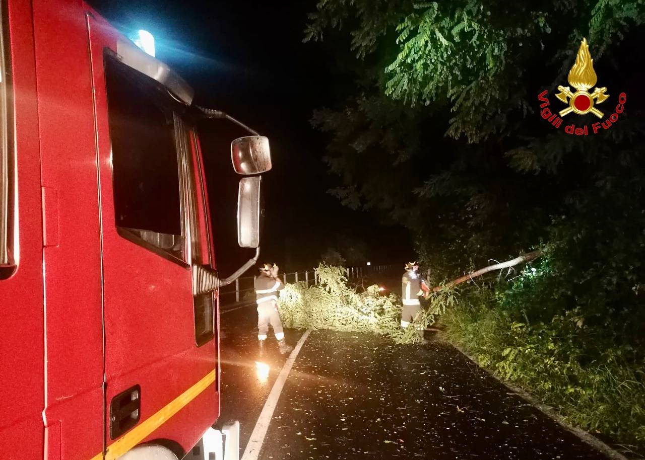 FOTO. Forte temporale nella notte sul Varesotto: alberi caduti e vigili del fuoco in azione ...