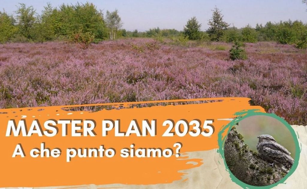 Il 7 marzo a Gallarate una serata per conoscere il Masterplan 2035 di ...