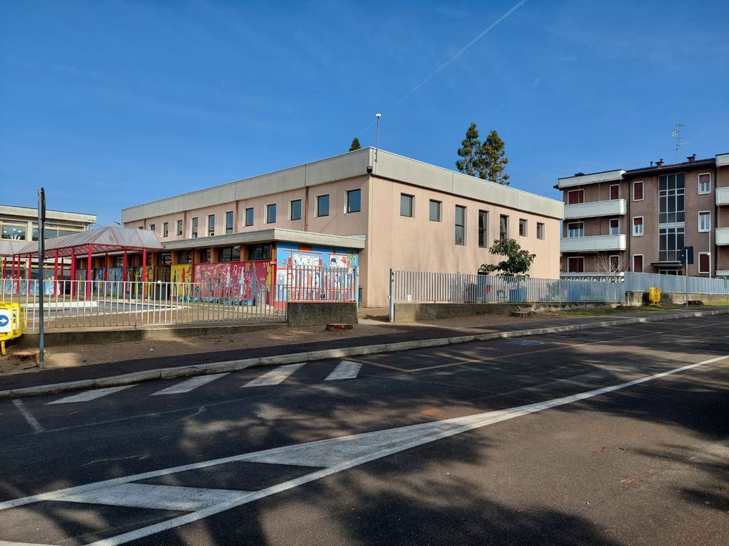 Il Comune di Marnate taglia i pini di fronte alla scuola. «Scelta ...