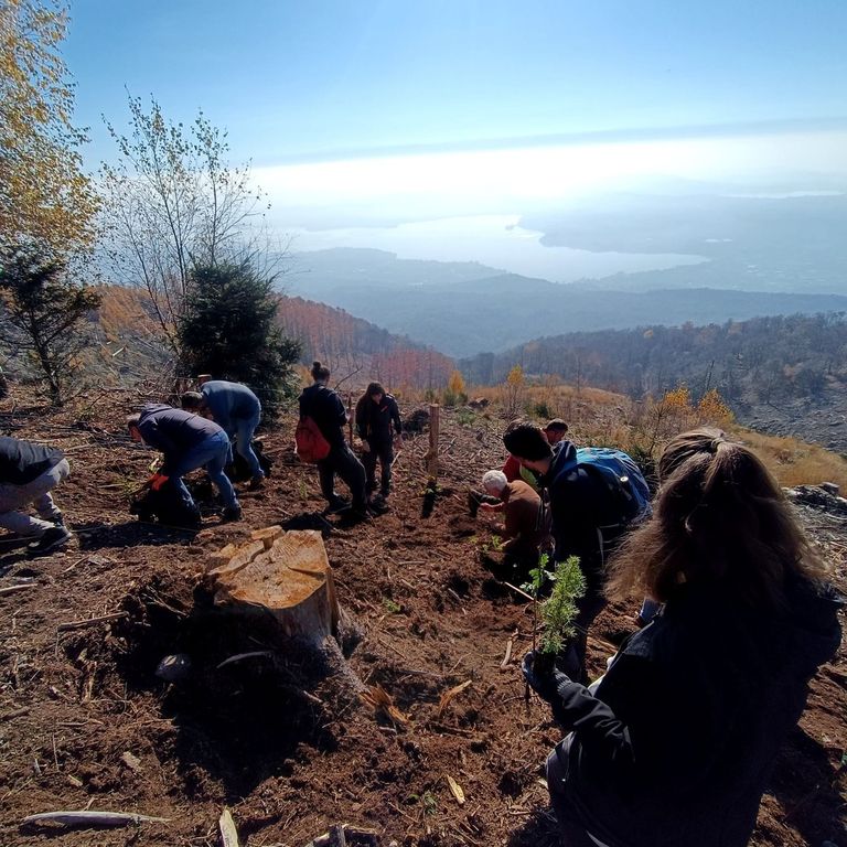FOTO. Il Campo dei Fiori non dimentica il disastro provocato dalla ...